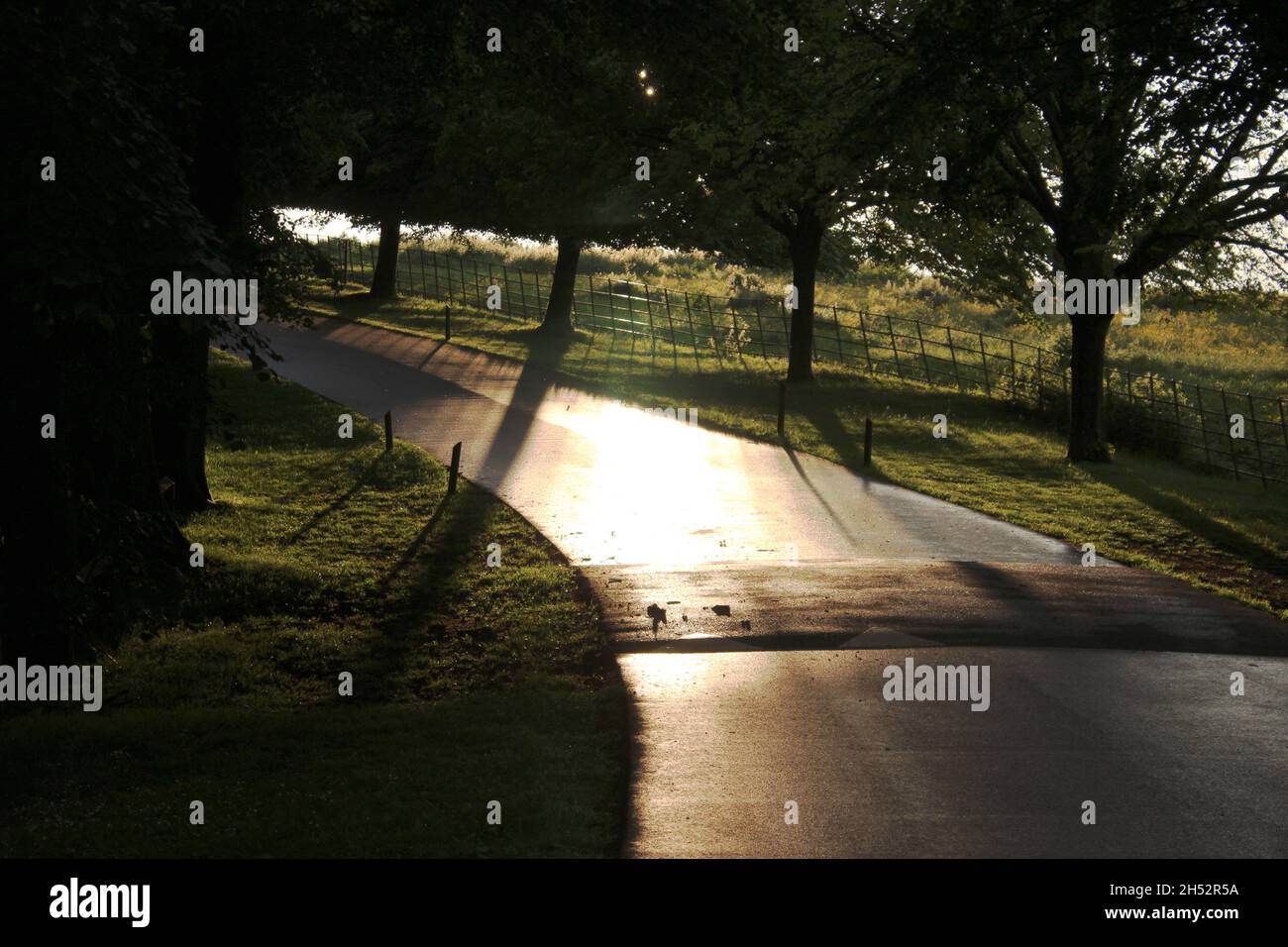 Lydiard hi-res stock photography and images - Alamy