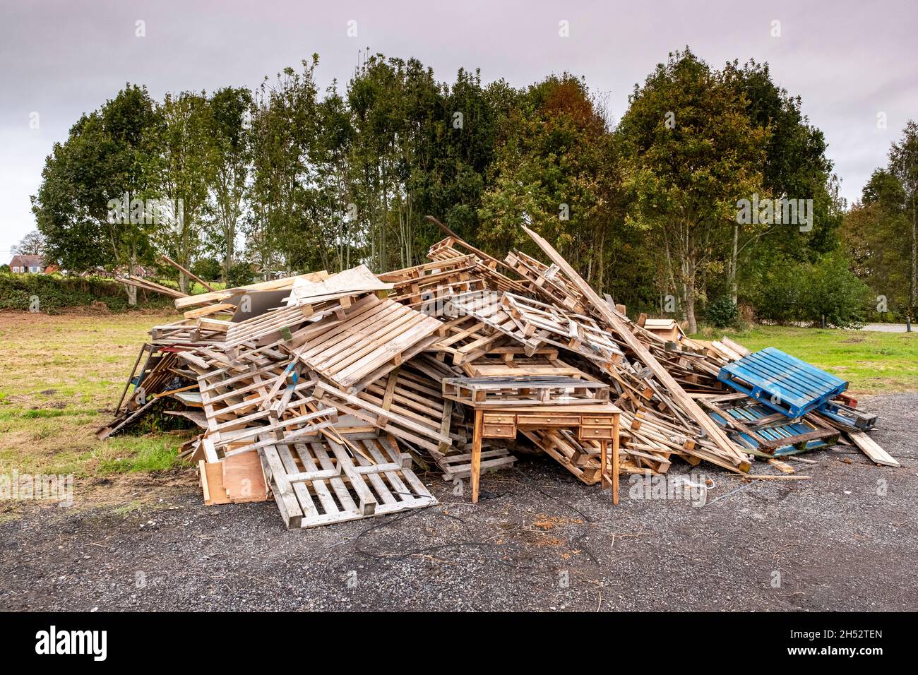 Collecting wood for bonfire night Stock Photo - Alamy