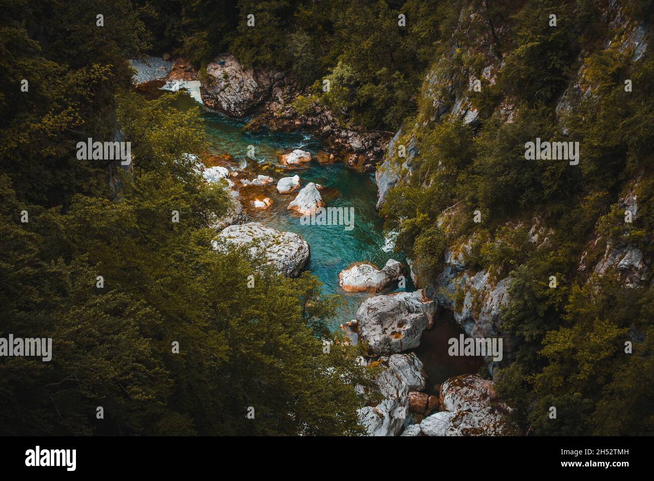ariel of flowing blue river through a dense forrest Stock Photo - Alamy
