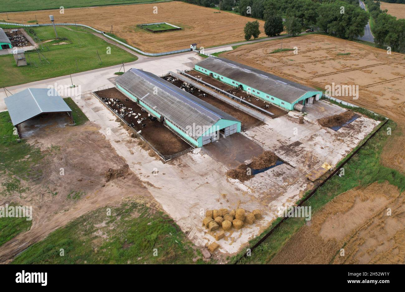 Agricultural Buildings with farm animals. Farm Storage Building with ...