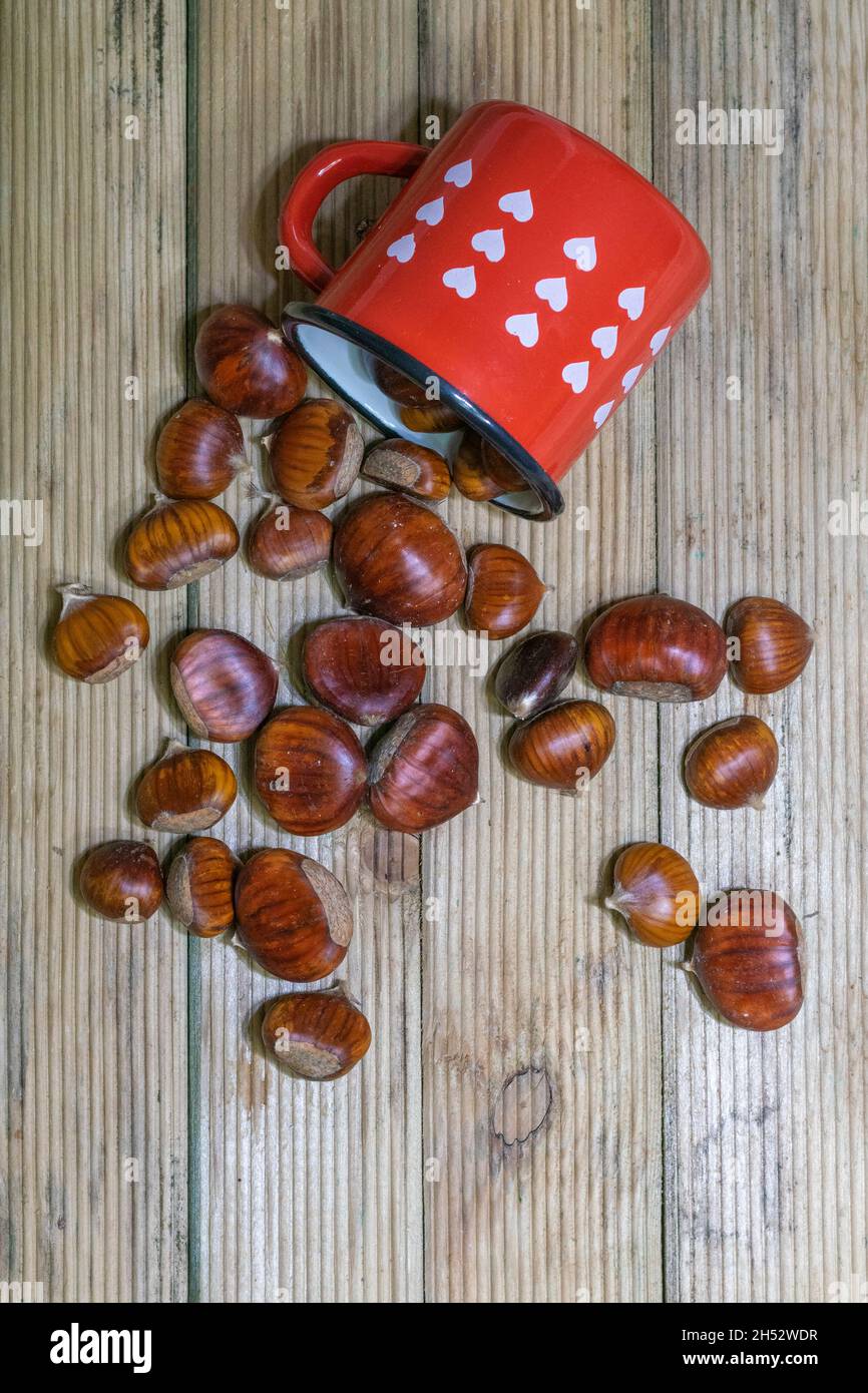 Chestnut heart hi-res stock photography and images - Alamy