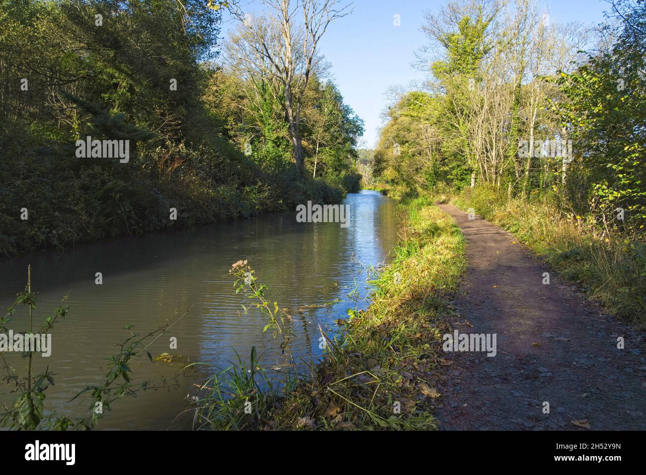 Leaf fall on canal towpath hi-res stock photography and images - Alamy