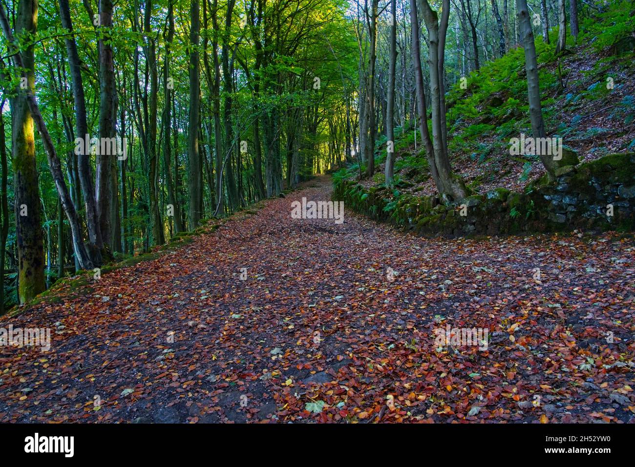 Disused quarry rail line curves up a steep incline on the High Peak ...