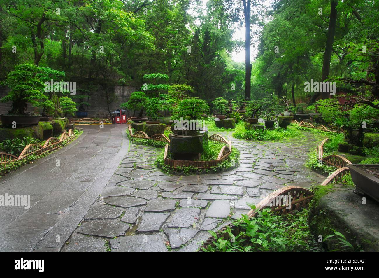 A garden and old bonsai trees within the liu xiang's tomb scenic area ...