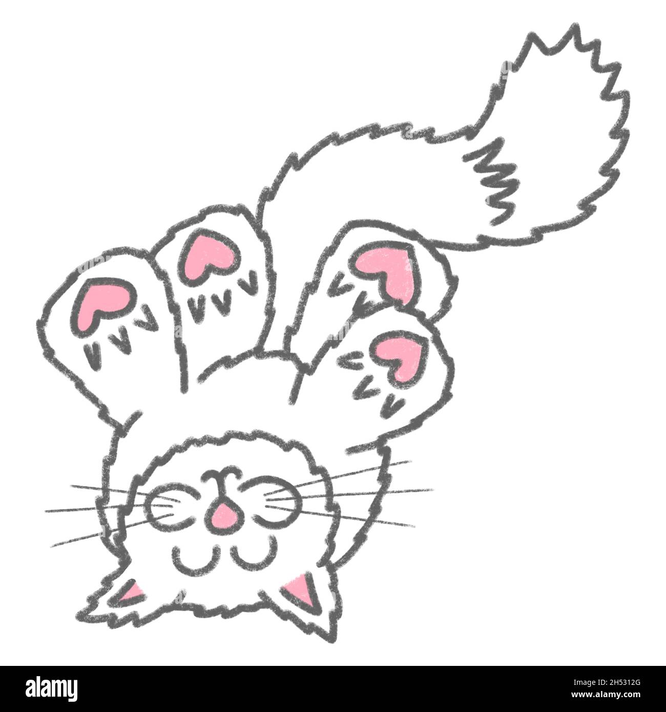 Cute Cat Kitten Asleep Paws in the Air Heart Toe Beans Cartoon ...