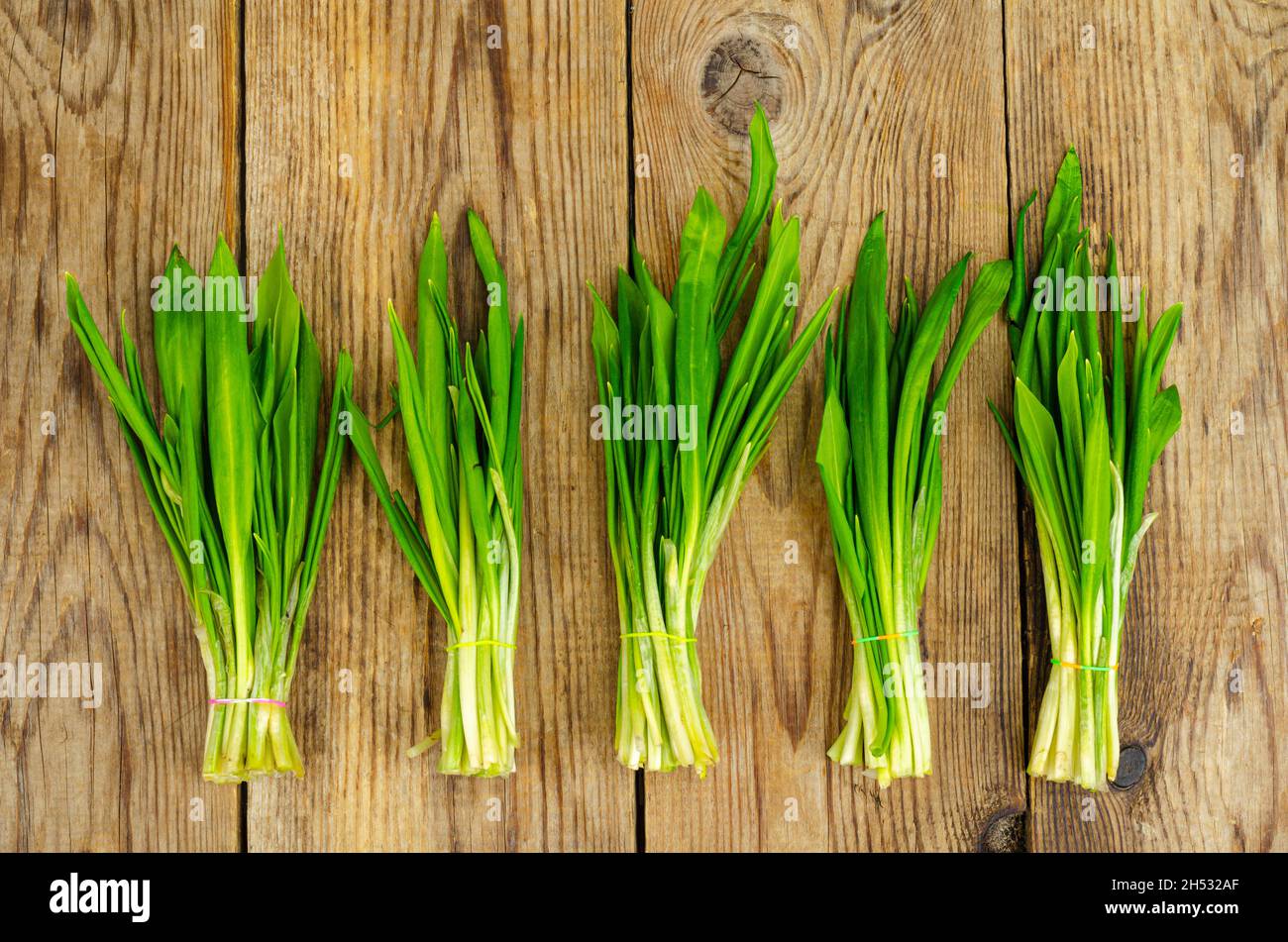 Eats shoots and leaves hi-res stock photography and images - Alamy