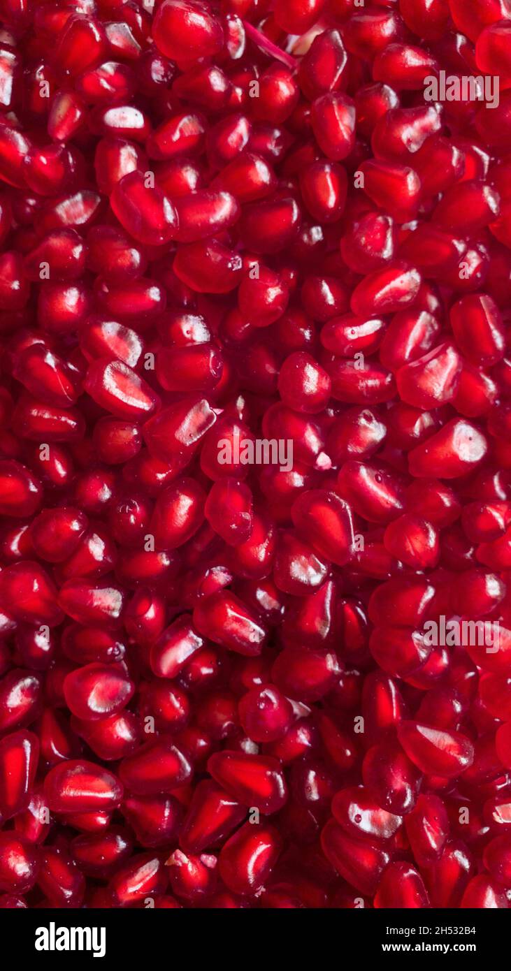 Shiny red seeds hi-res stock photography and images - Alamy