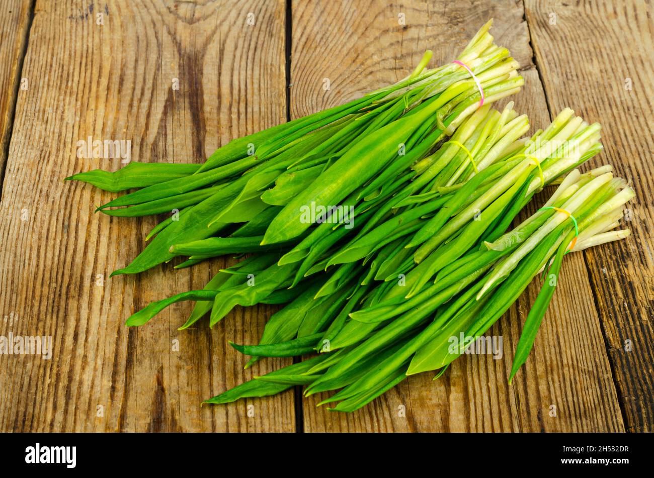 Green young shoots of Allium ursinum. Studio Photo Stock Photo - Alamy