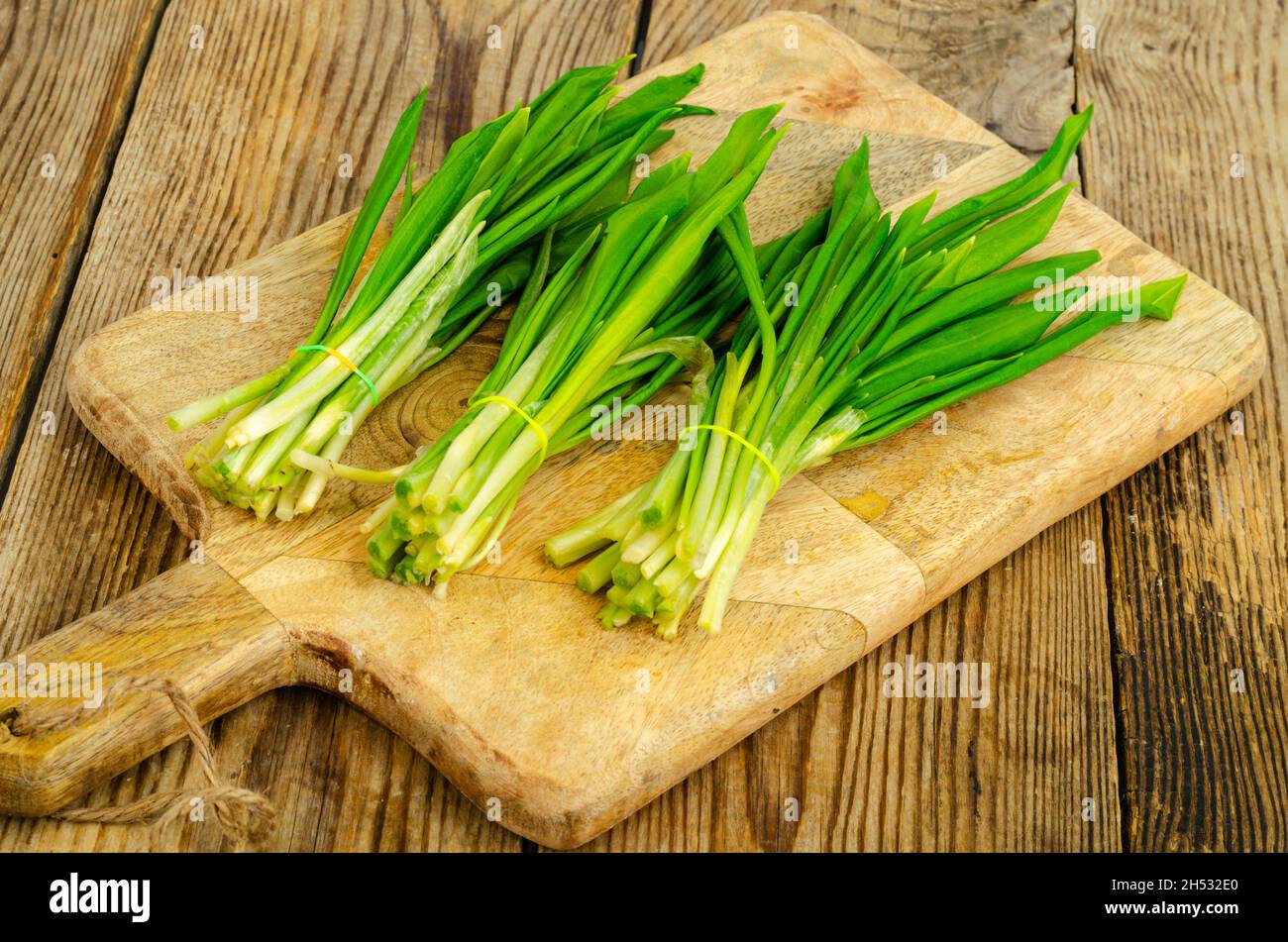 Green young shoots of Allium ursinum. Studio Photo Stock Photo - Alamy