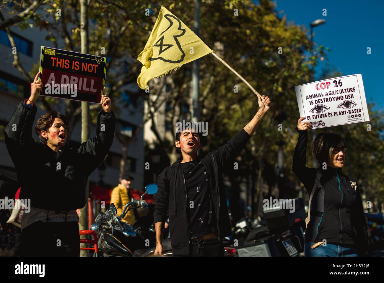 Barcelona, Spain. 6th Nov, 2021. Activists of Animal Rebellion ...