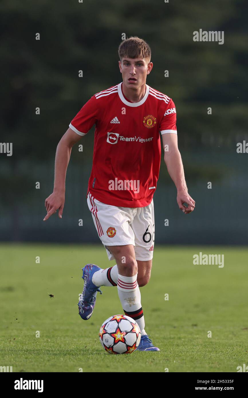 Bennett primavera hi-res stock photography and images - Alamy