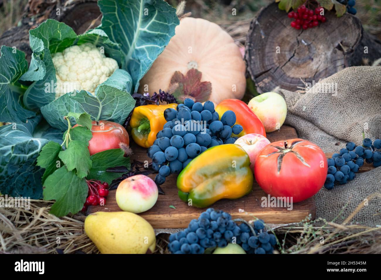 Still life of a rich autumn harvest Stock Photo - Alamy
