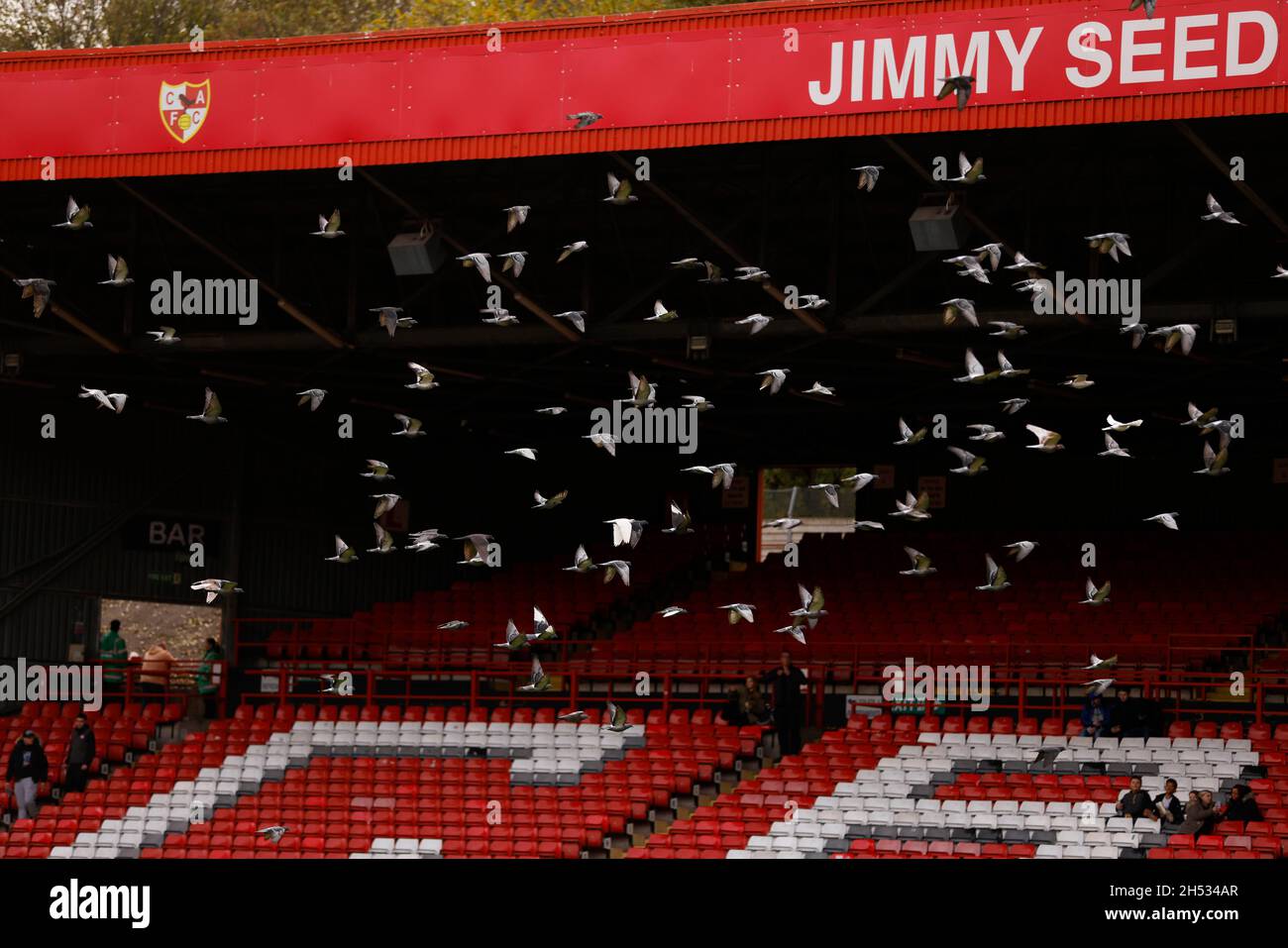 Jimmy seed hi-res stock photography and images - Alamy