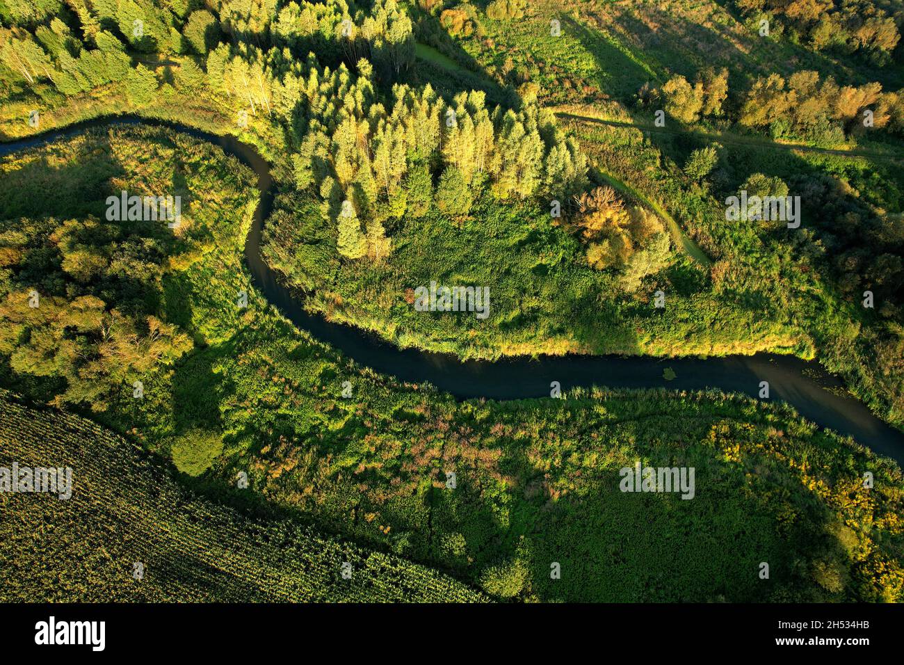 River in the wild. Aerial view of small river in middle of green forest ...