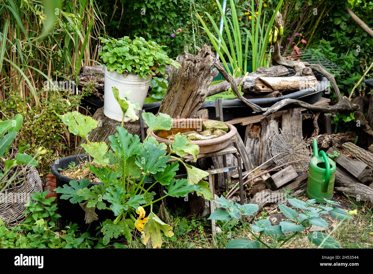 Overgrown gardens hi-res stock photography and images - Alamy