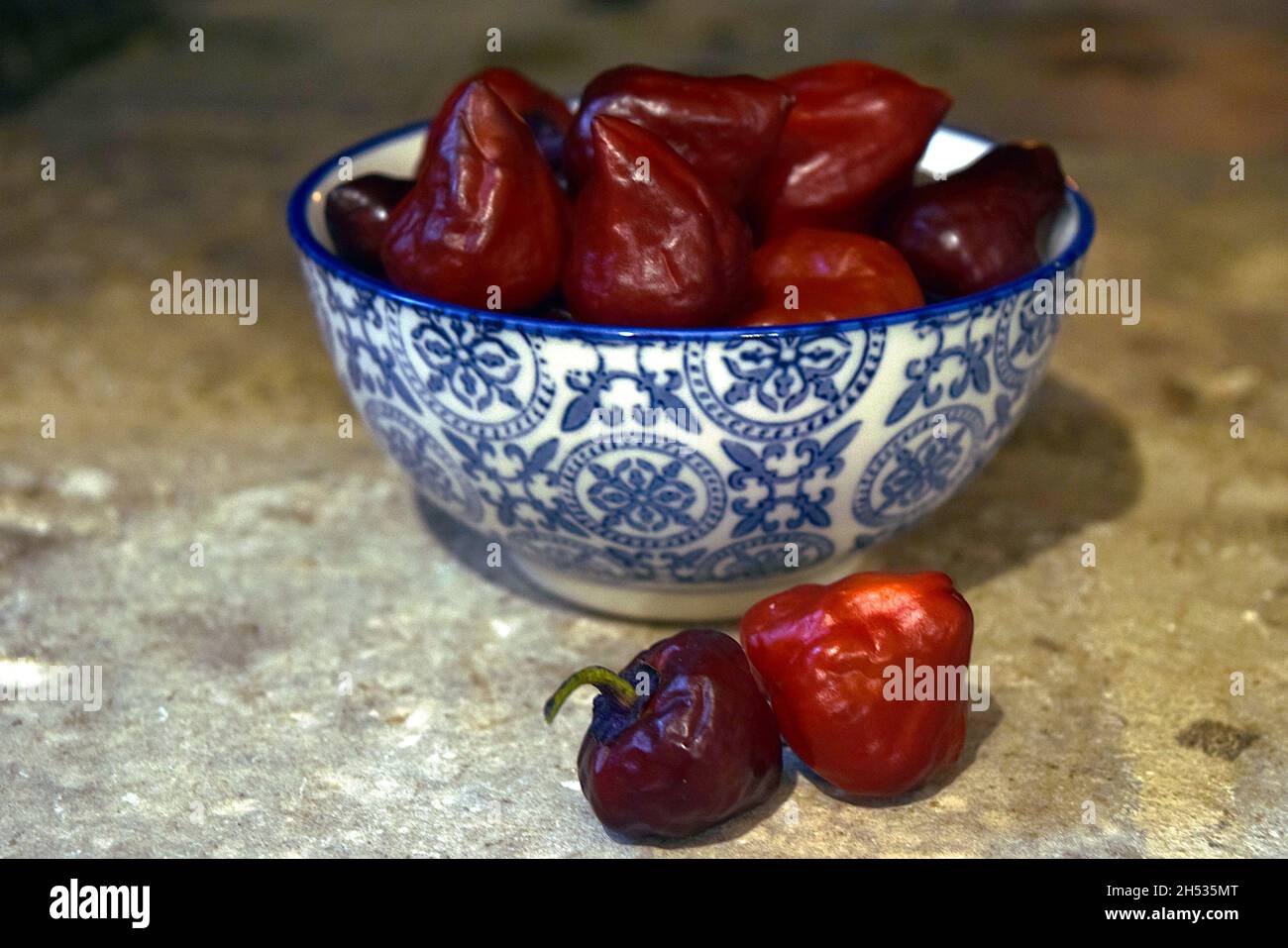 Purple ufo chilis hi-res stock photography and images - Alamy