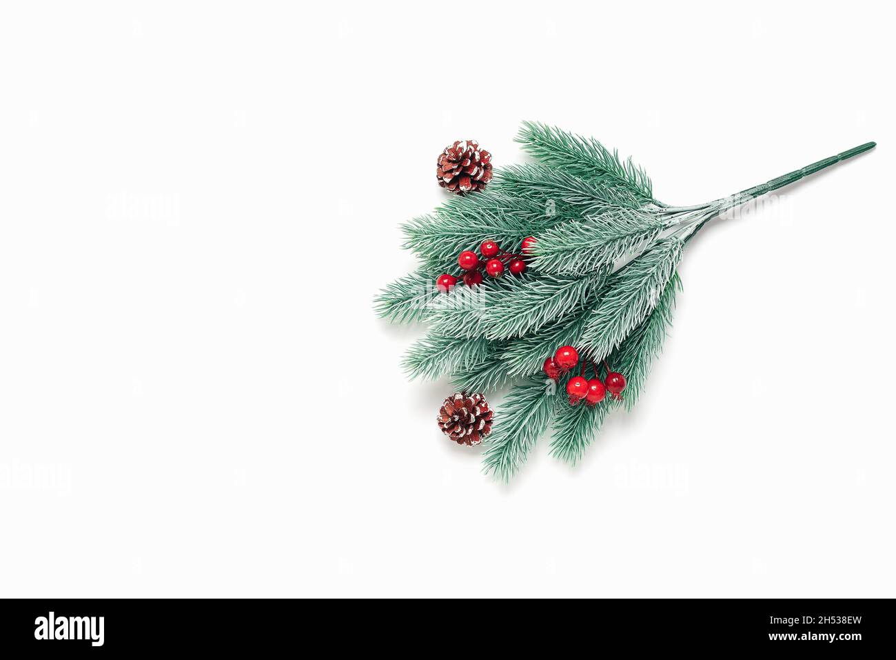 Holly cone hi-res stock photography and images - Alamy