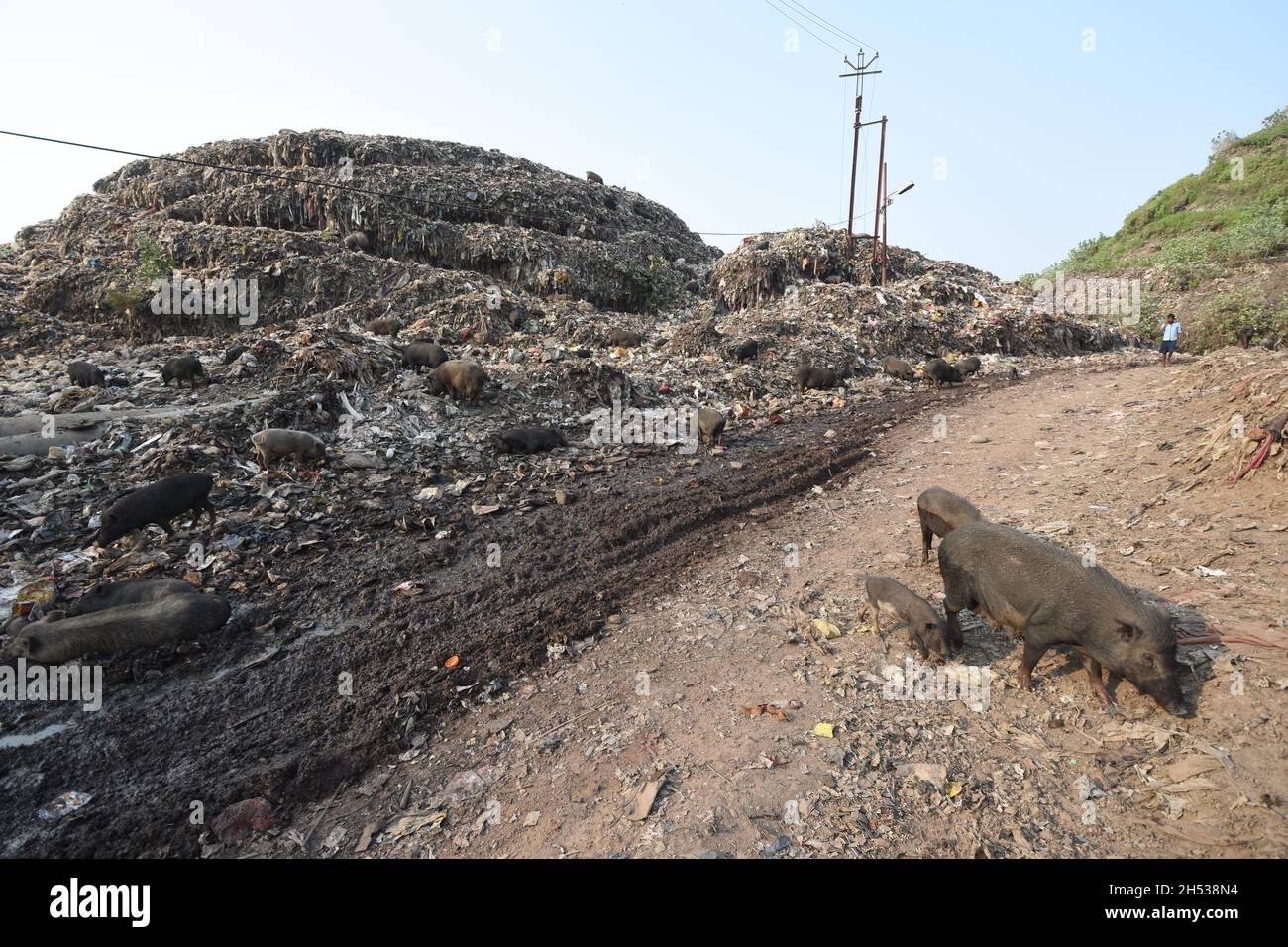 Belgachia hi-res stock photography and images - Alamy