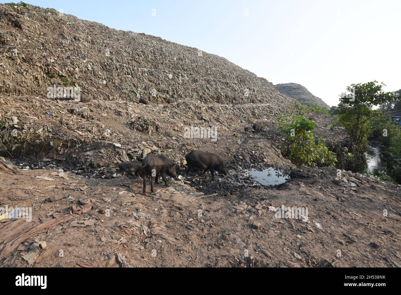 Solid waste at Belgachia Dump Site. Howrah, West Bengal, India Stock ...