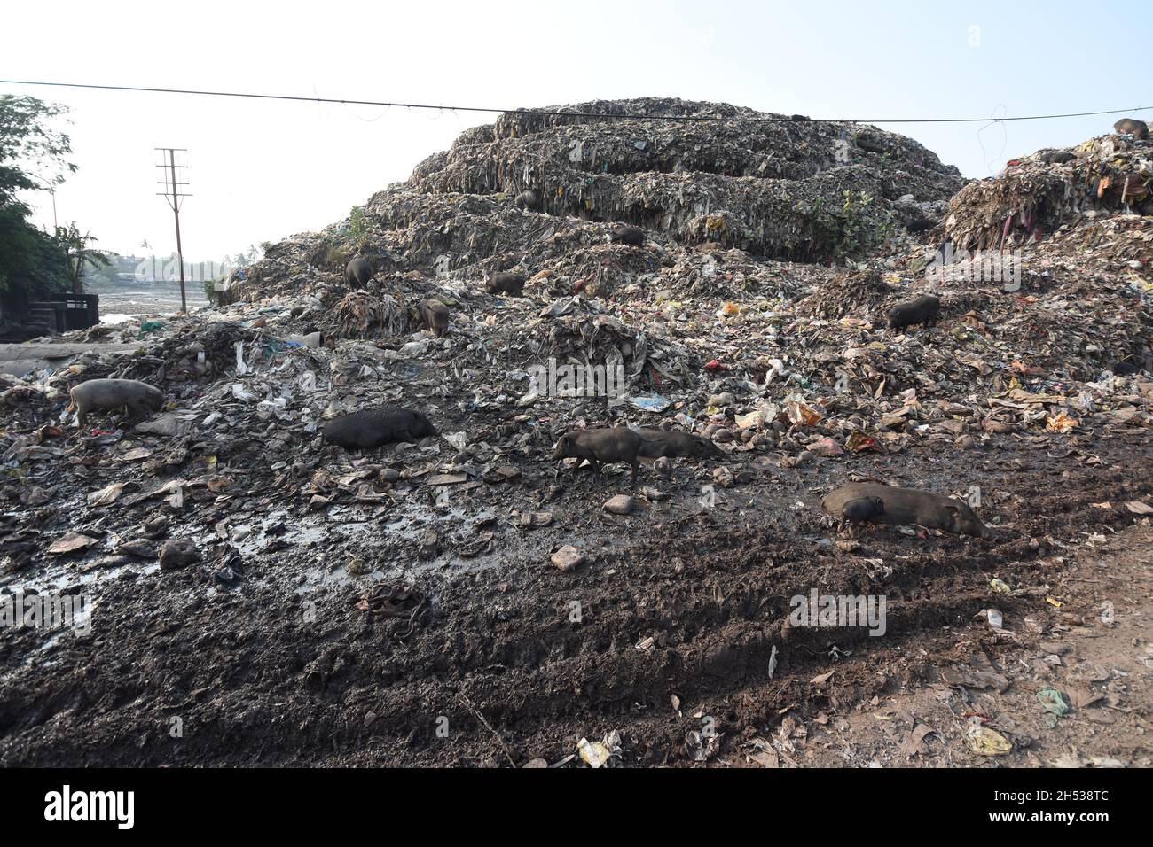 Solid waste india hi-res stock photography and images - Alamy