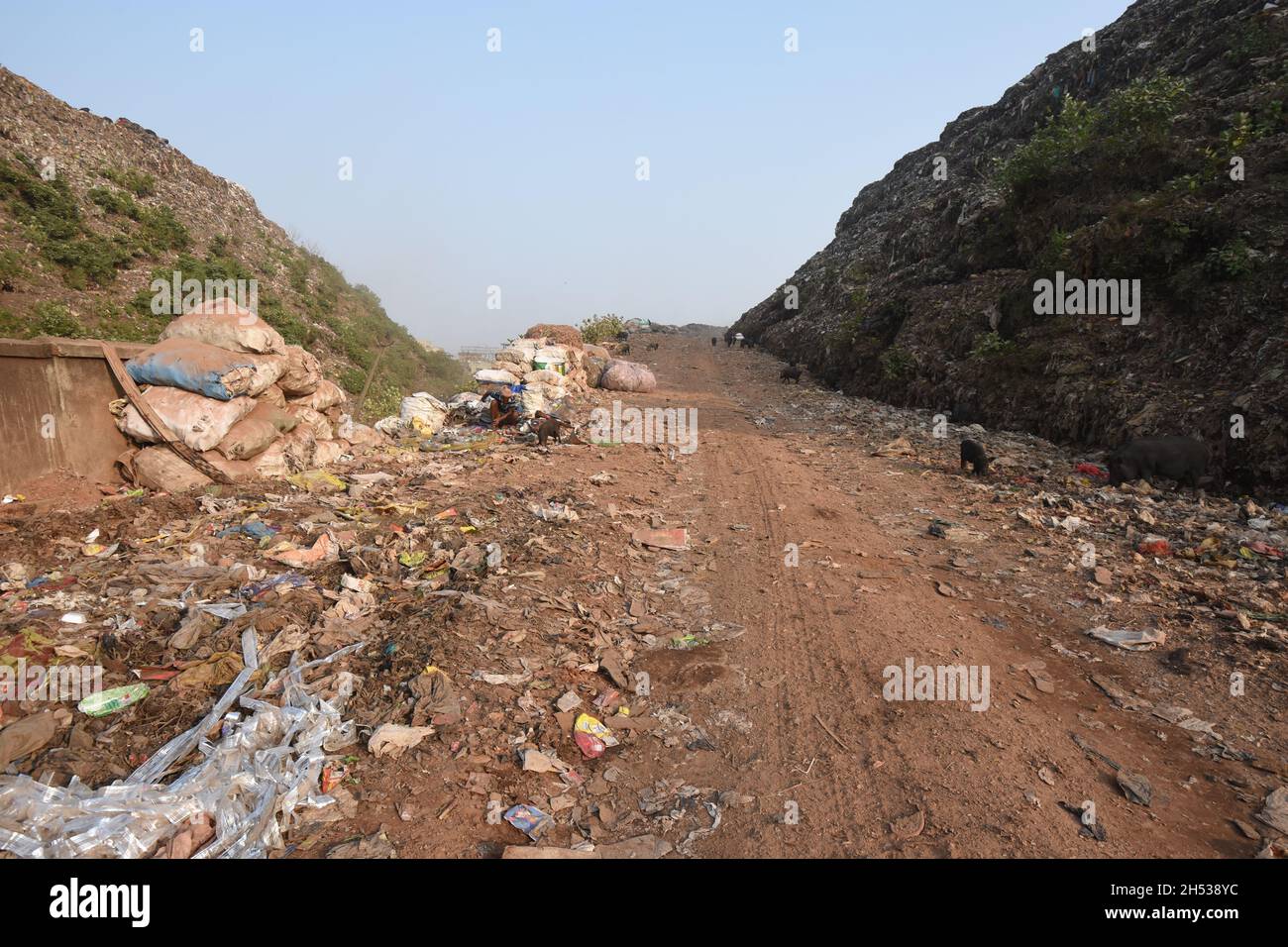 Belgachia hi-res stock photography and images - Alamy