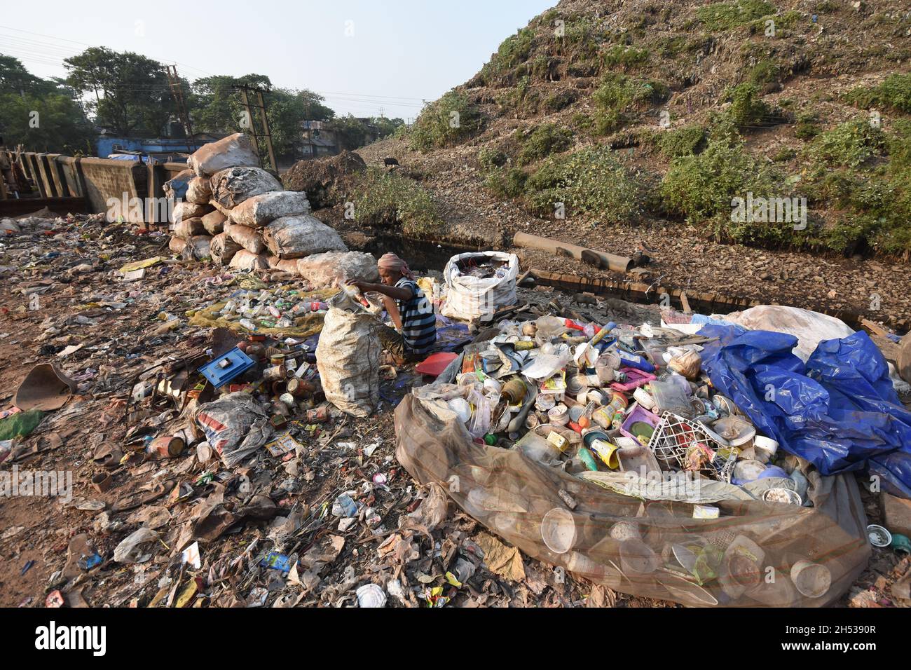 Segregating hi-res stock photography and images - Alamy