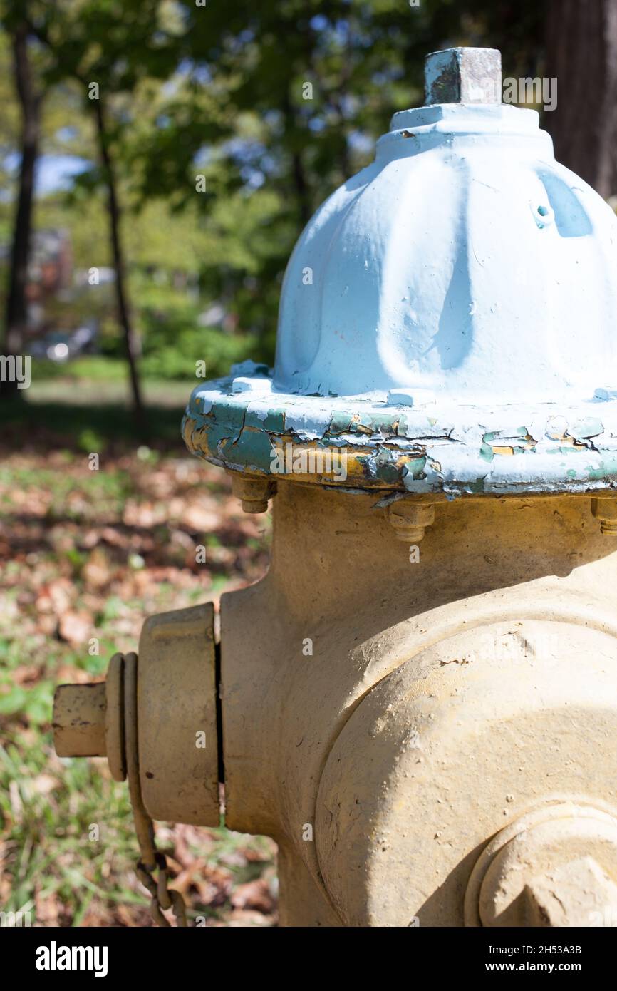 Vertical closeup of a fire hydrant in a park outdoors Stock Photo - Alamy