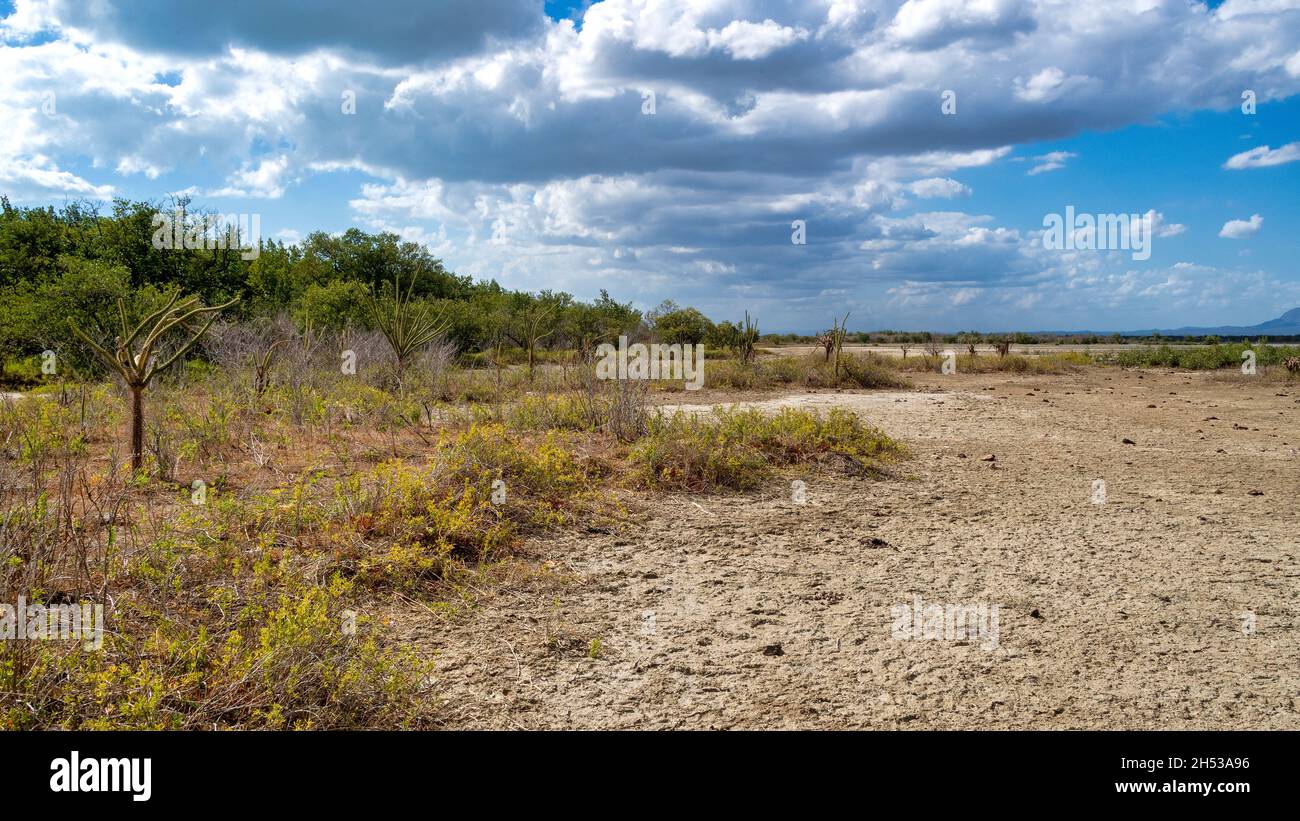 Environmental Damage of the Zaza Dam in Cuba Stock Photo - Alamy