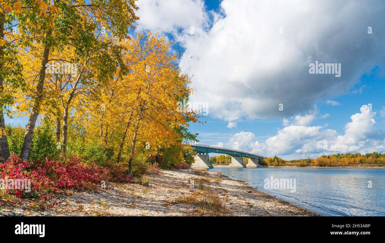 Fall foliage color at Grand Rapids, Manitoba. Canada Stock Photo - Alamy