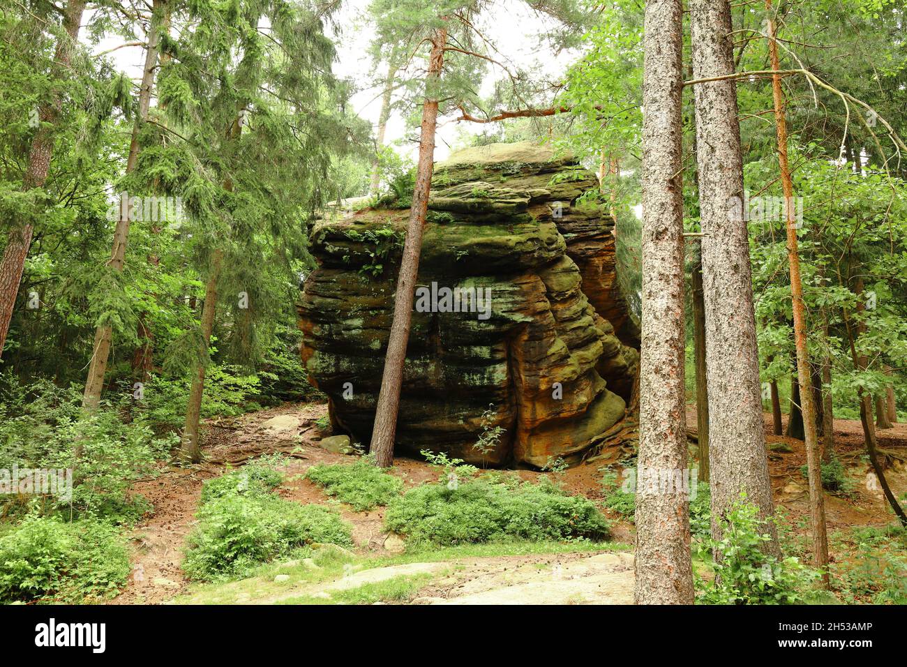 Rock in Forest Stock Photo - Alamy