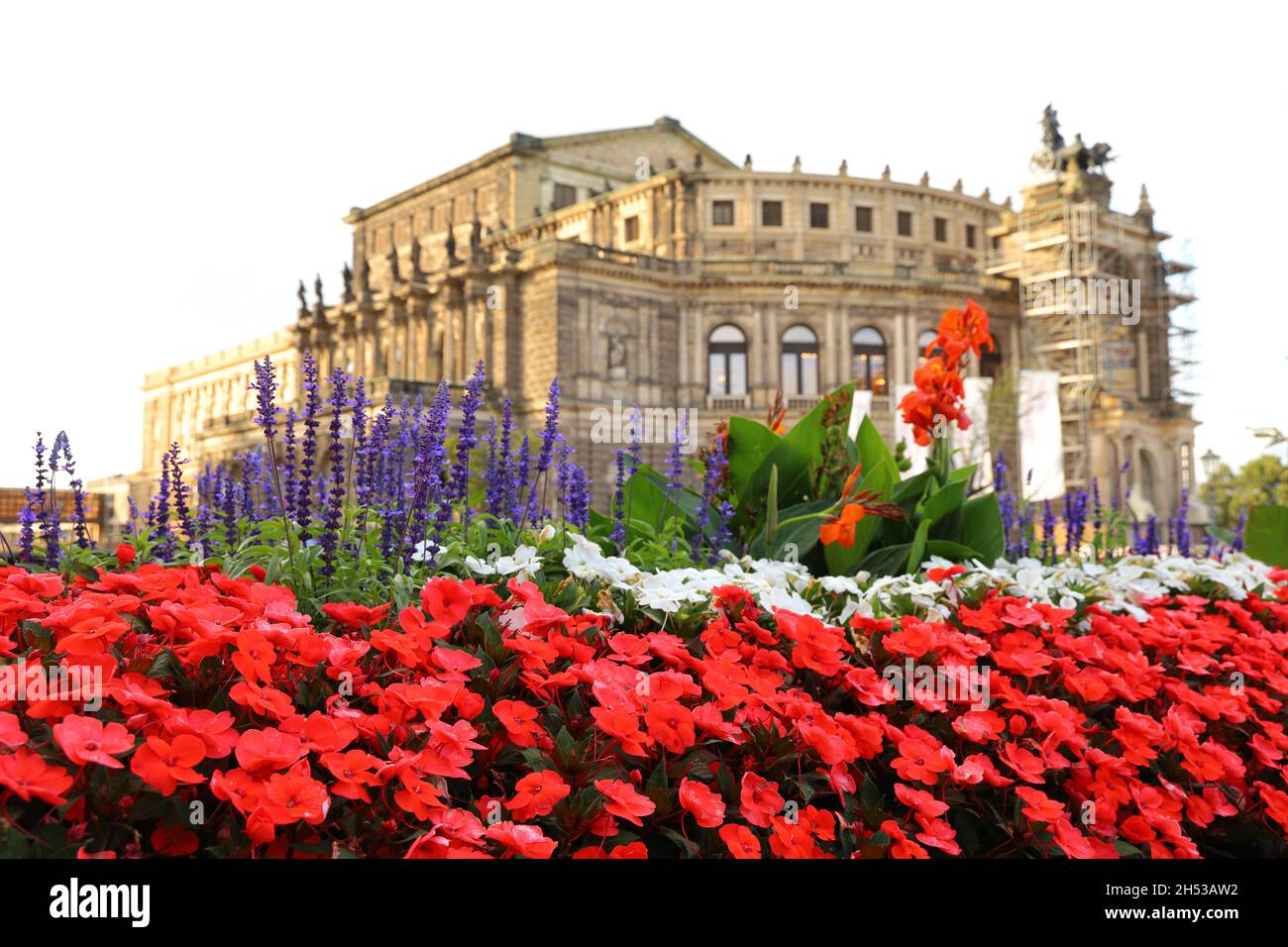 Flowers in front of Opera Stock Photo - Alamy