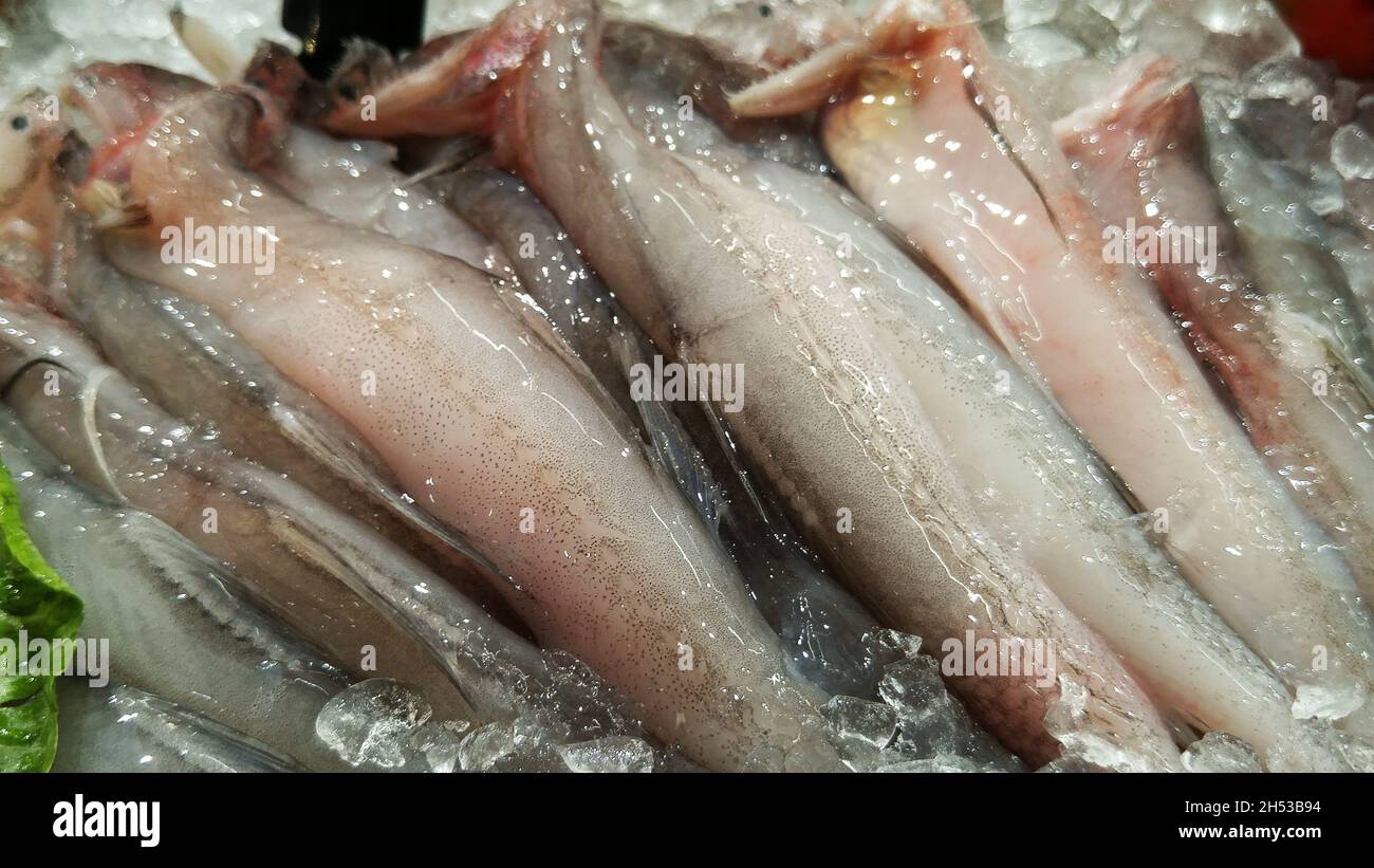 Chilled marine fish hi-res stock photography and images - Alamy