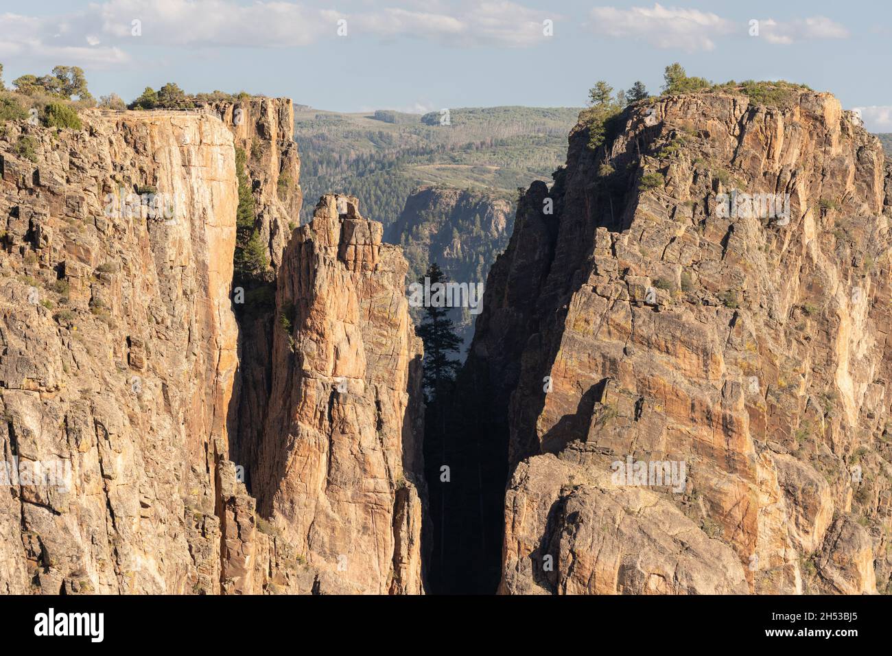 Large Pine Tree Grows In The Wedge Between Two Rock Cliffs in Black ...