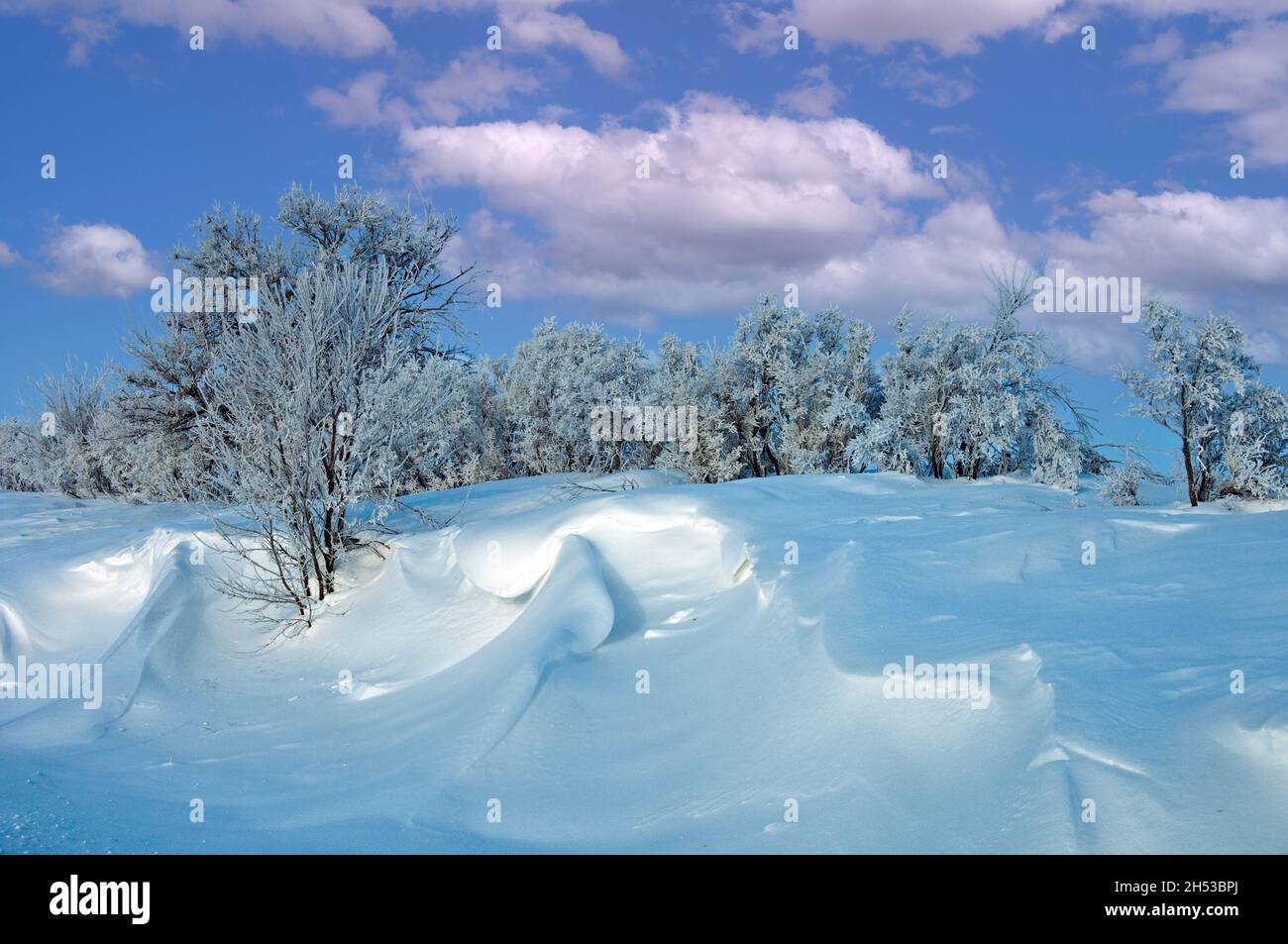 Early morning after huge snowfall in Iowa Stock Photo - Alamy