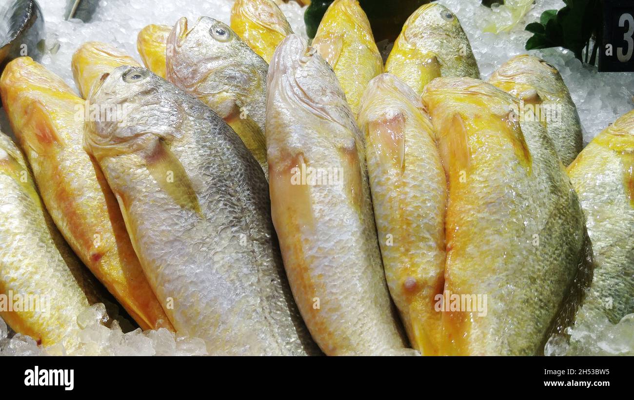 Chilled marine fish hi-res stock photography and images - Alamy