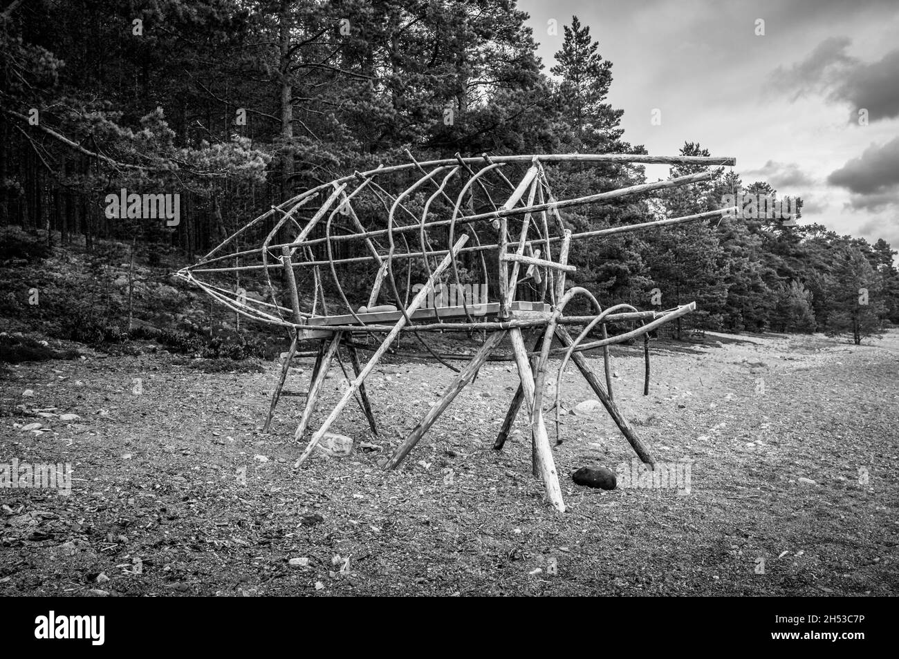 Wooden shell hi-res stock photography and images - Alamy