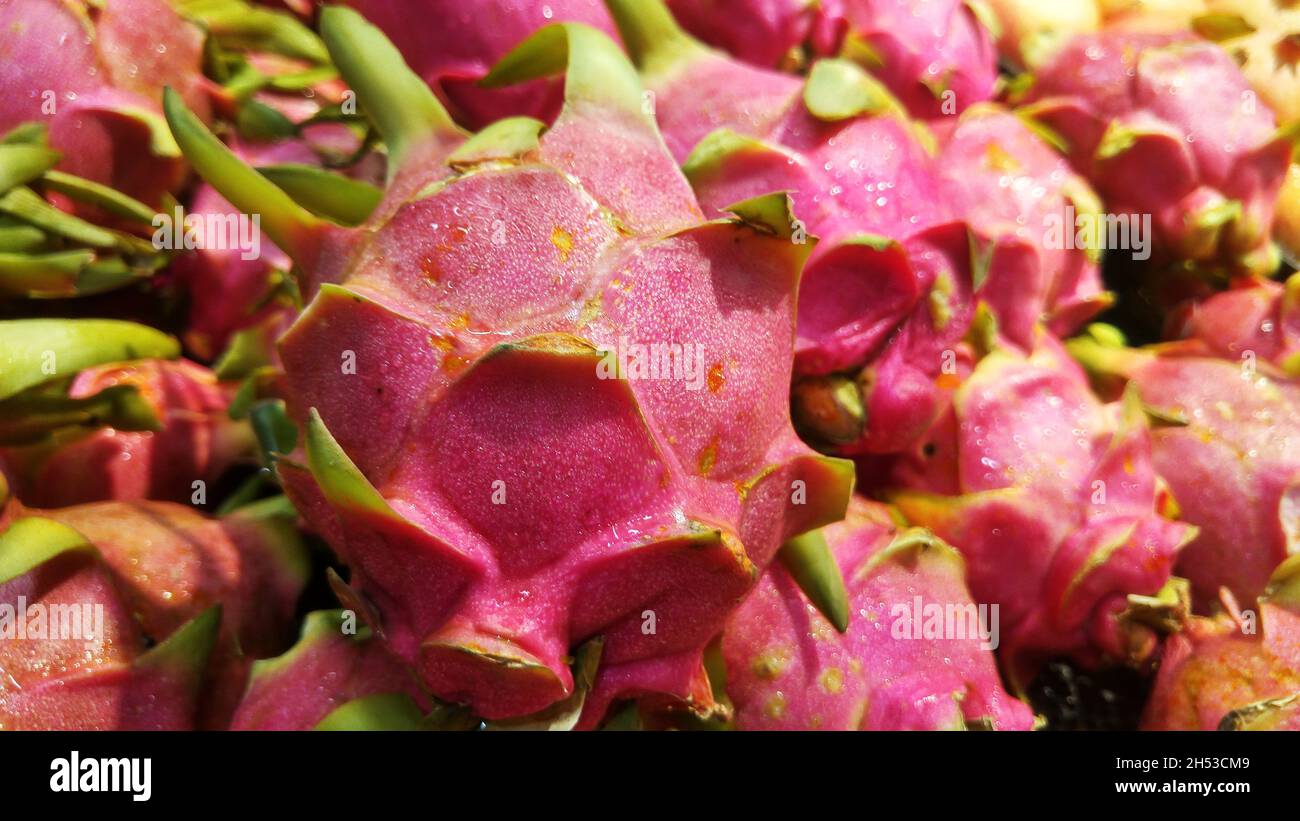 A pile of pitaya hi-res stock photography and images - Alamy