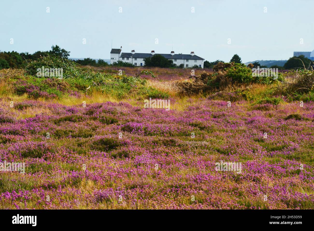 Suffolk summer landscape hi-res stock photography and images - Alamy