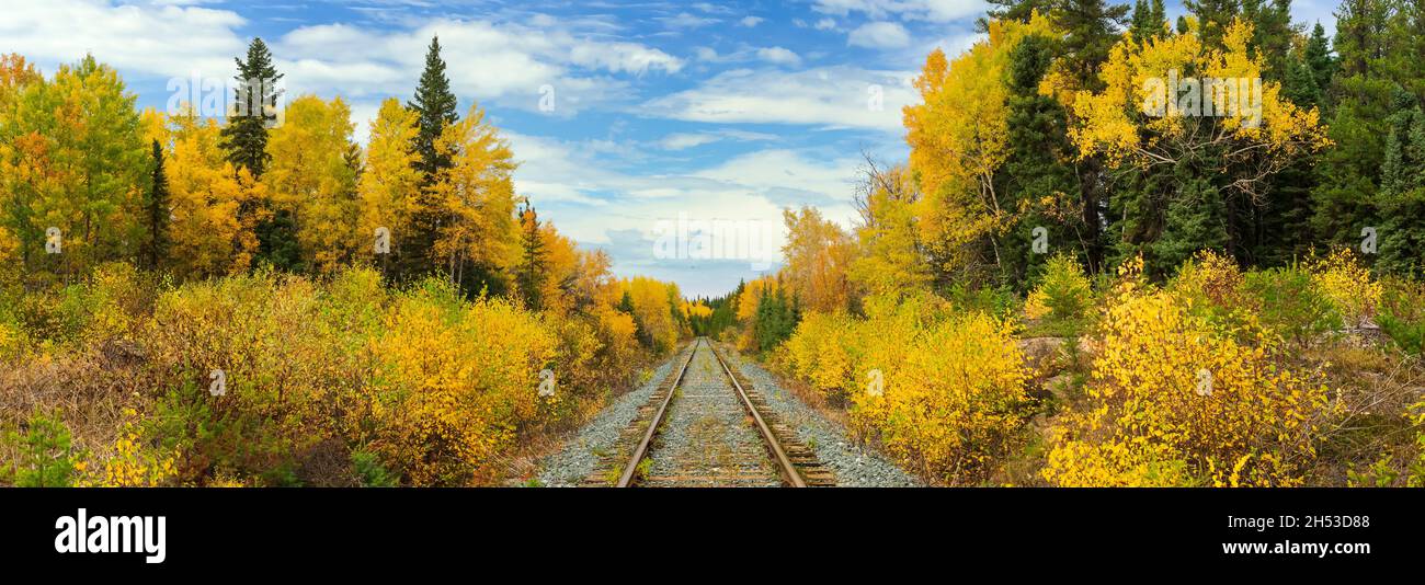 Fall foliage color near Flin Flon, Manitoba, Canada Stock Photo - Alamy