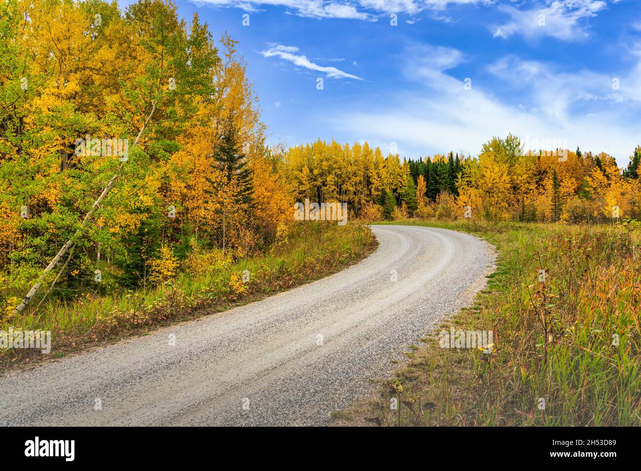 Fall foliage color in Northern Manitoba, Canada Stock Photo - Alamy