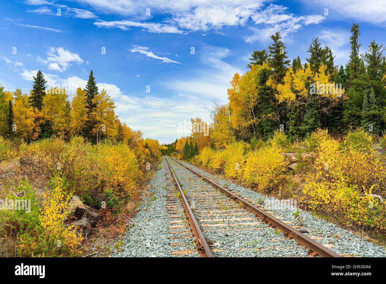 Fall foliage color near Flin Flon, Manitoba, Canada Stock Photo - Alamy