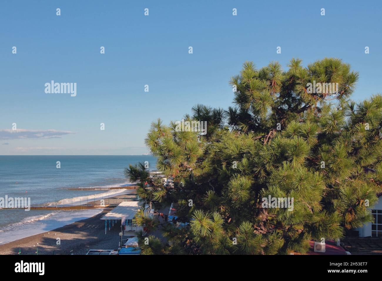 Sochi russia summer hi-res stock photography and images - Alamy