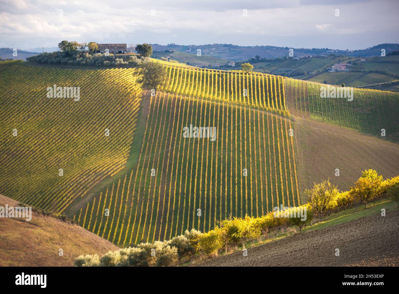 Rural fields on hill hi-res stock photography and images - Alamy
