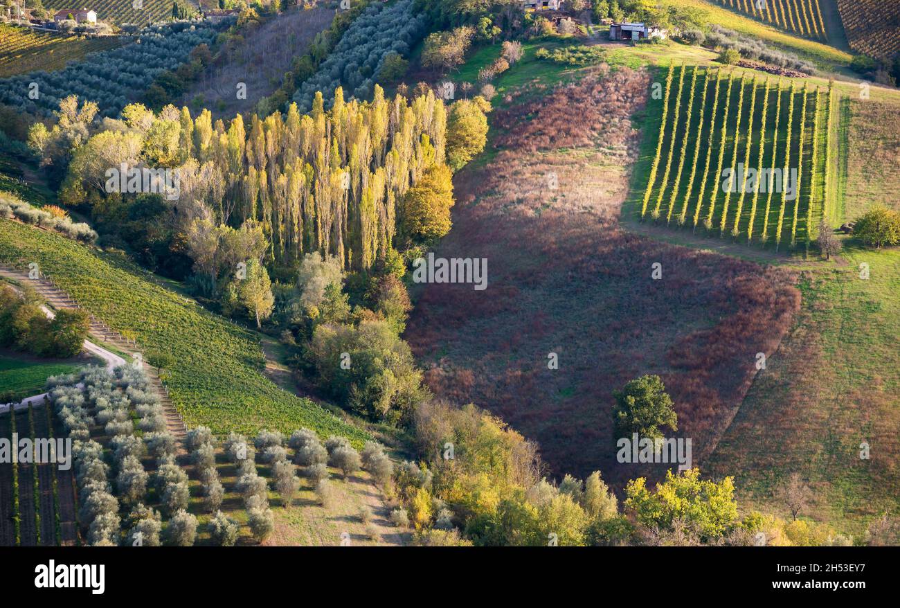 Rural landscape with farming lands on hill Stock Photo - Alamy