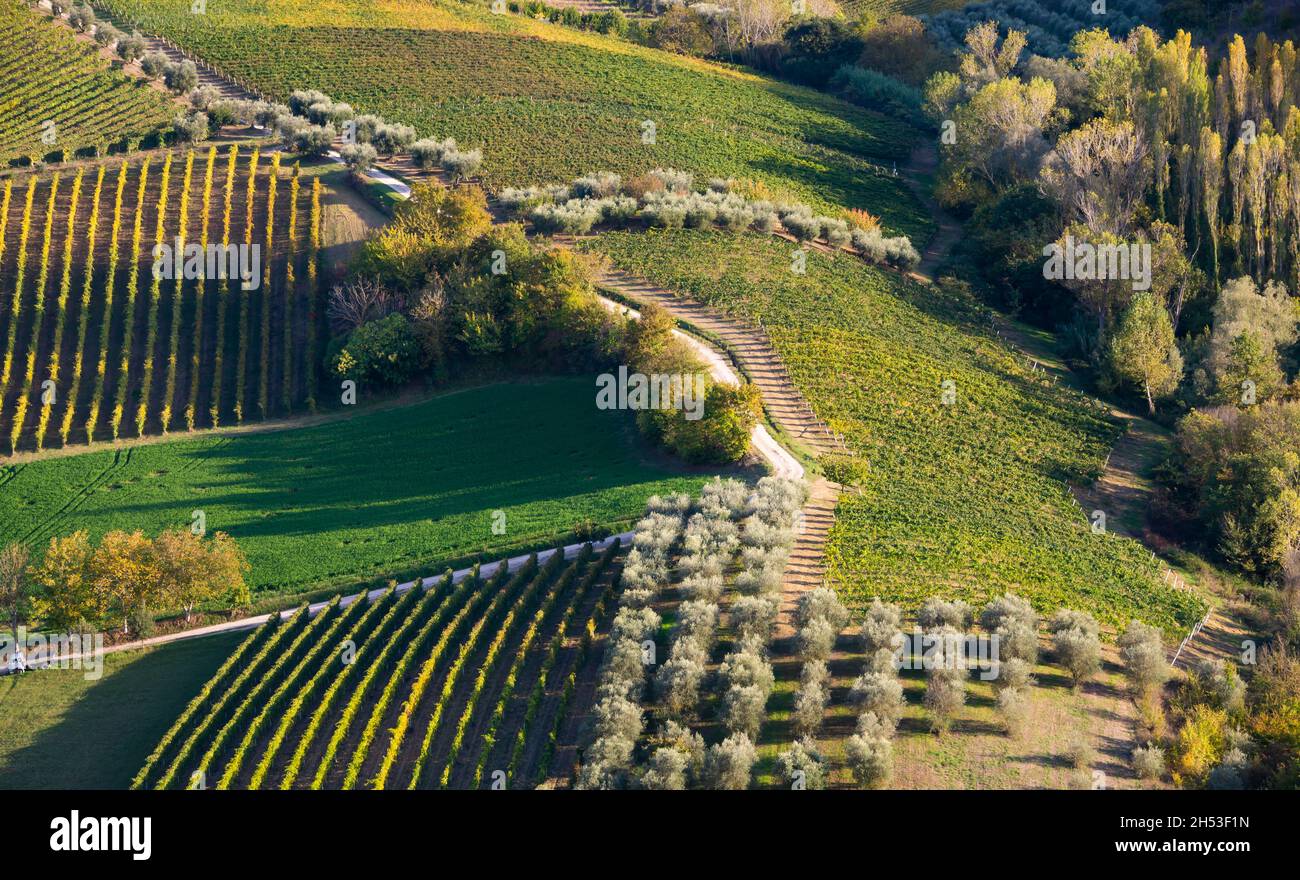 Rural landscape with farming lands on hill Stock Photo - Alamy