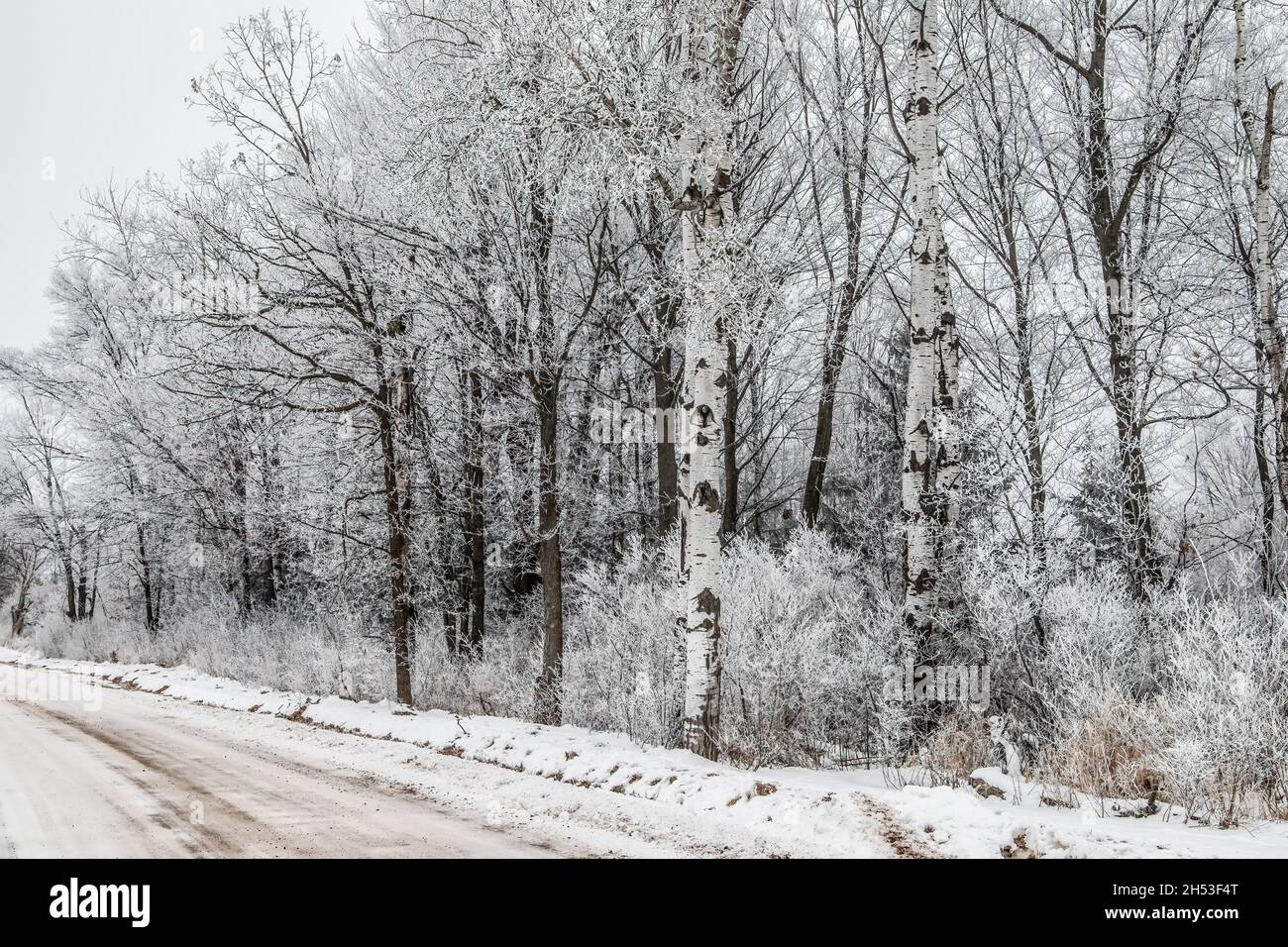 Outdoors rime ice hi-res stock photography and images - Alamy