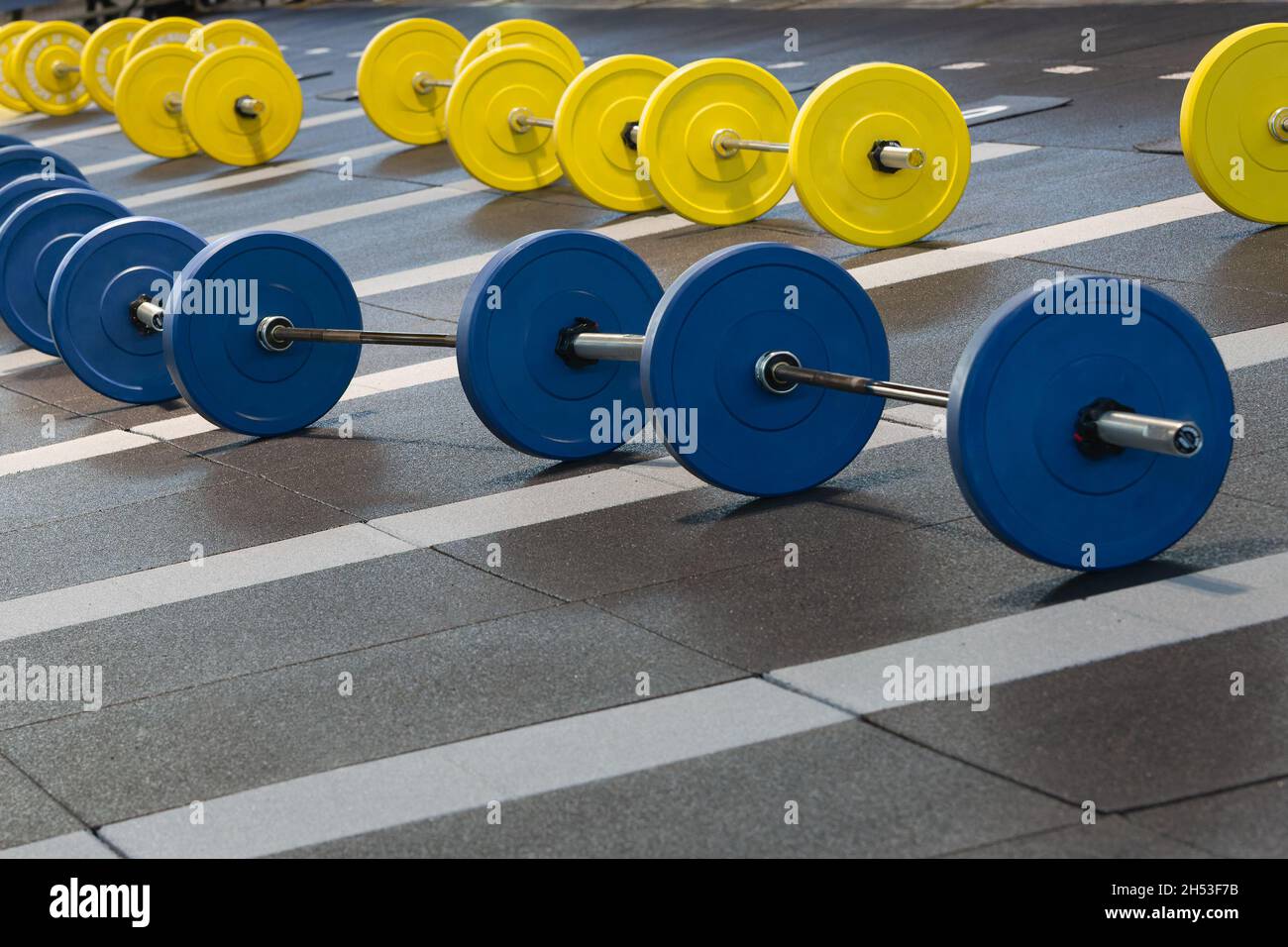 Groups of Fitness Barbells with Blue and Yellow Disks Stock Photo - Alamy