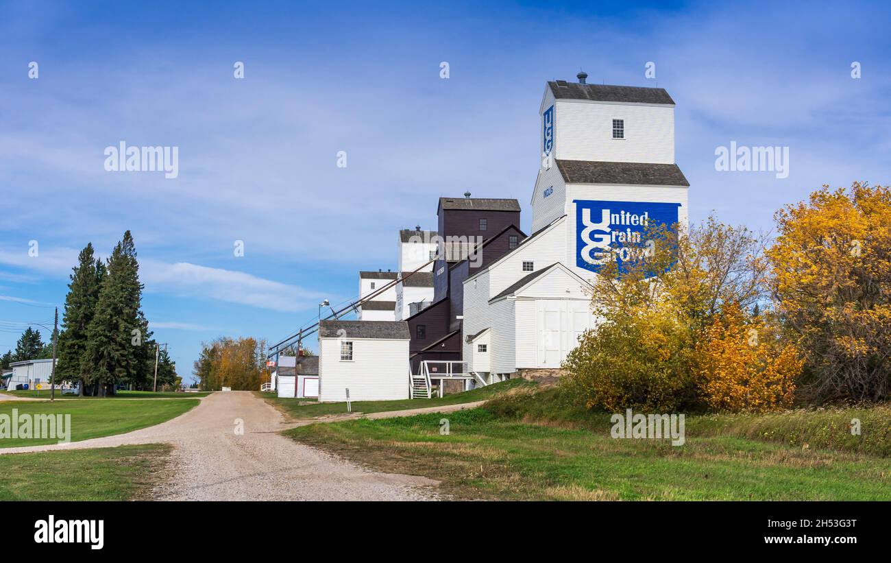 The restored historic grain elevators at Inglis, Manitoba, Canada Stock ...