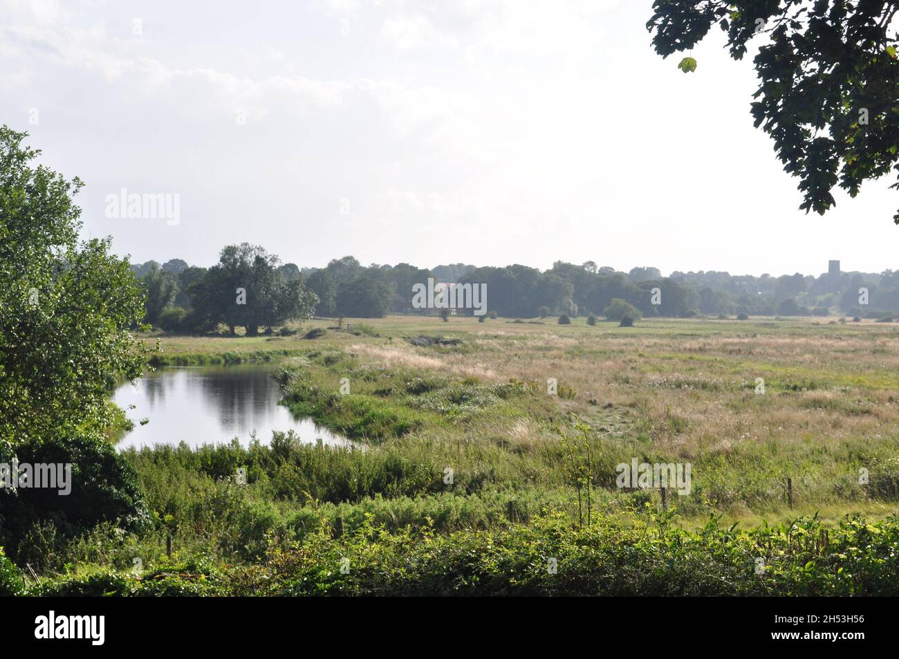 The River Wensum at Bylaugh, Norfolk, England UK Stock Photo - Alamy