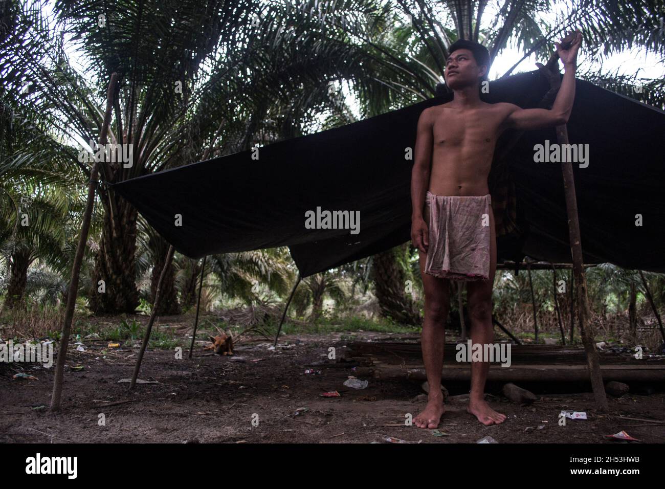 A Suku Anak Dalam or Jungle People seen at the front of his home which ...